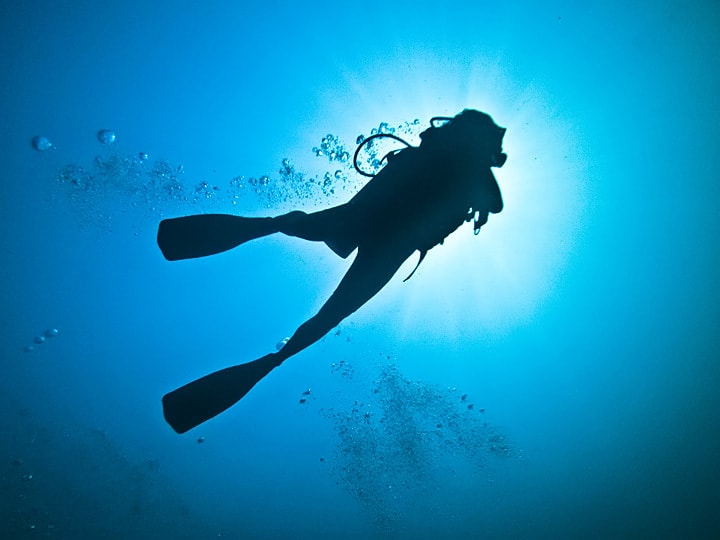 DIVE MASTER / DIVE COM - Revolution Dive